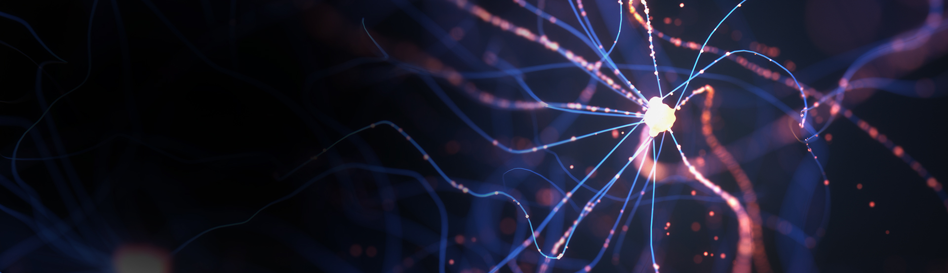 Synaptive Announces a $40 Million Investment | INOVAIT